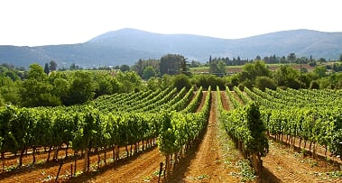 Driopi – Cava Spiliadis